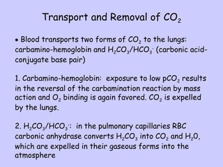 Oxygen transport | PPT