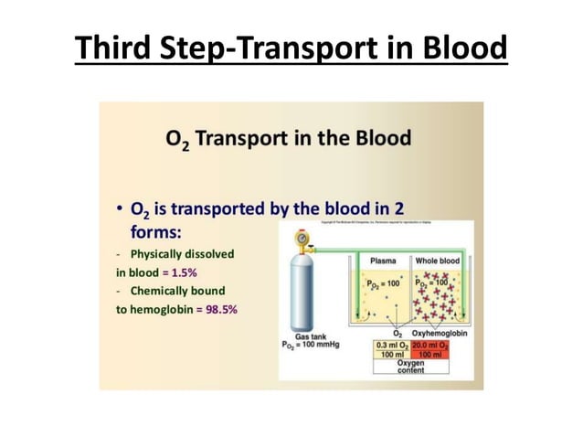 Oxygen transport | PPTX | Lung and Respiratory Health | Diseases and ...