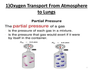 Oxygen transport | PPTX