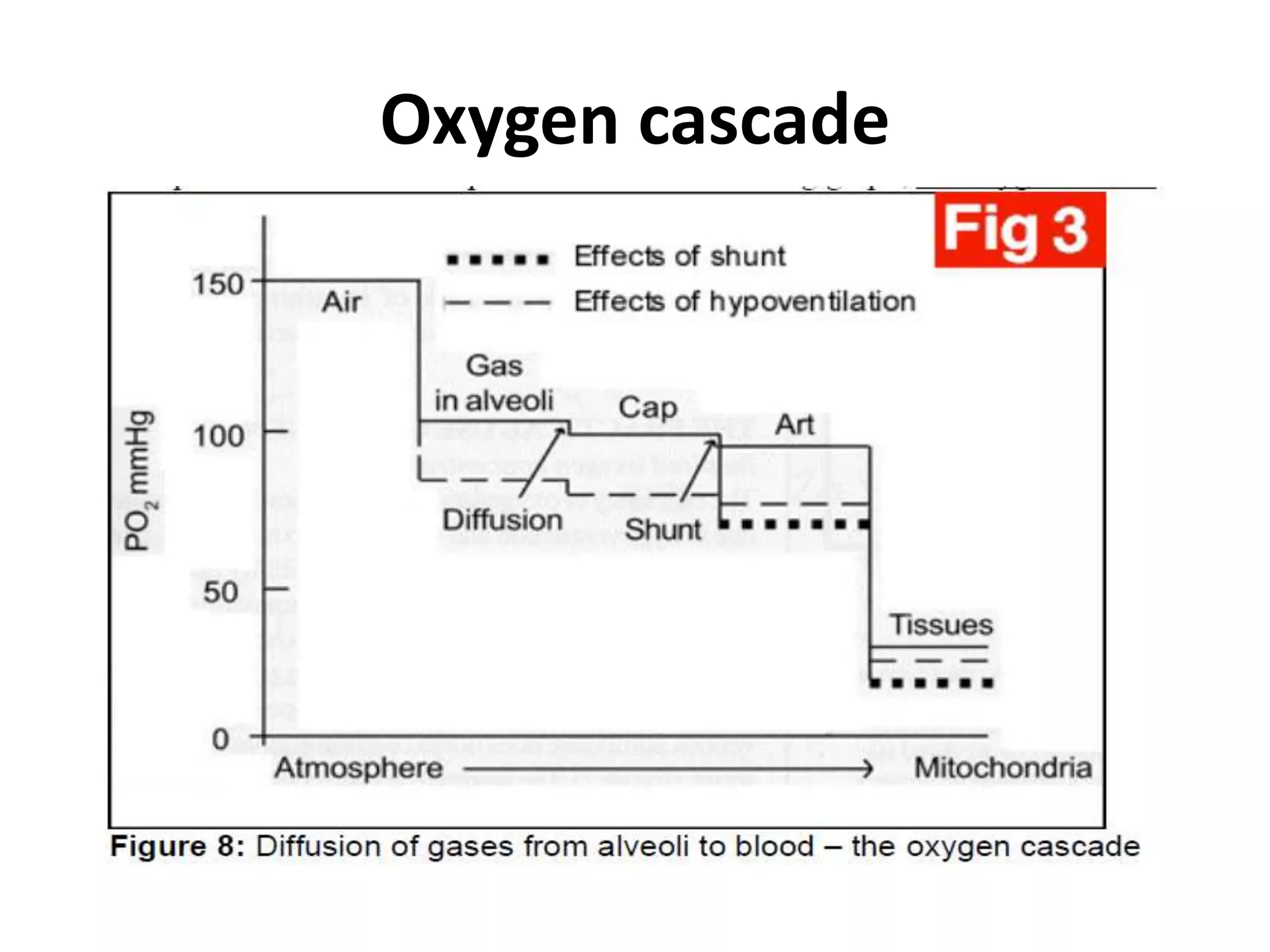 Oxygen transport | PPTX