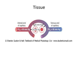 Oxygen Transport.ppt