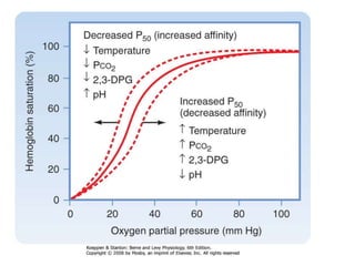 Oxygen Transport.ppt