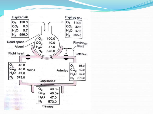 Oxygen transport | PPTX | Lung and Respiratory Health | Diseases and ...