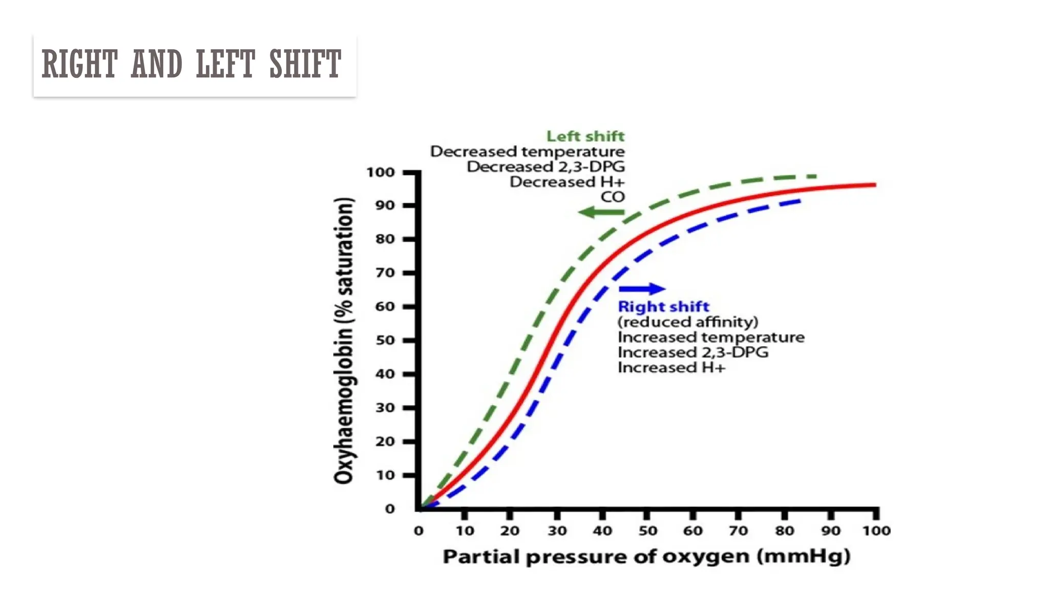oxyhemoglobin dissociation curve, human physiology.pptx