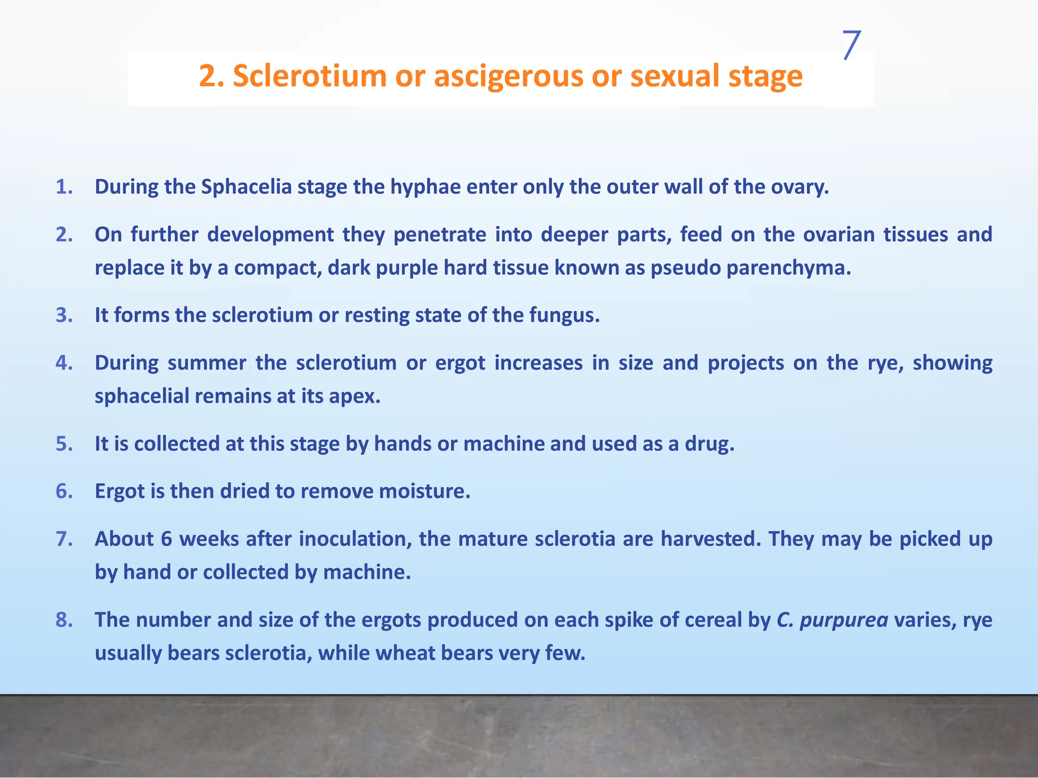 OXYTOCIC PHARMACOGNOSTIC NOTE ON ERGOT WITH LIFE CYCLE. | PDF