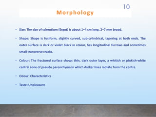 OXYTOCIC PHARMACOGNOSTIC NOTE ON ERGOT WITH LIFE CYCLE. | PDF ...