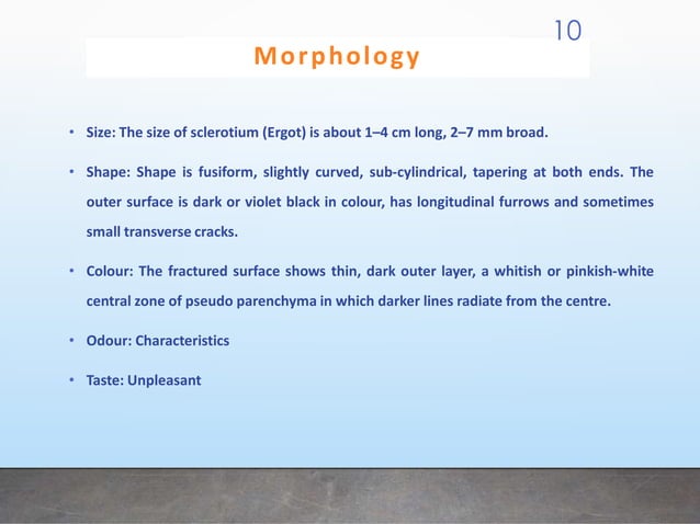 OXYTOCIC PHARMACOGNOSTIC NOTE ON ERGOT WITH LIFE CYCLE. | PDF ...