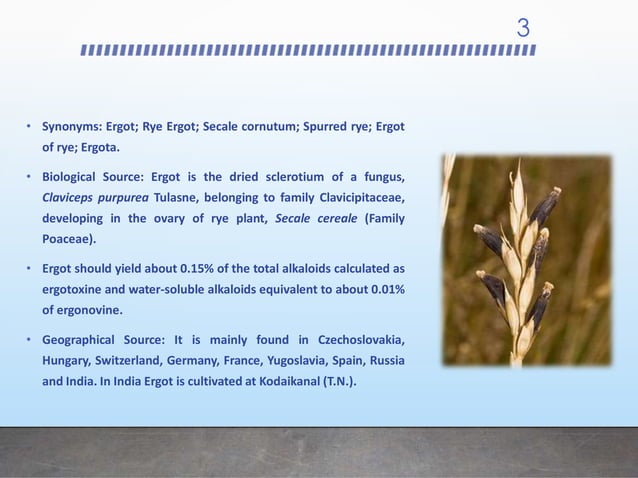 OXYTOCIC PHARMACOGNOSTIC NOTE ON ERGOT WITH LIFE CYCLE. | PDF ...