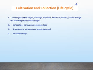 OXYTOCIC PHARMACOGNOSTIC NOTE ON ERGOT WITH LIFE CYCLE. | PDF