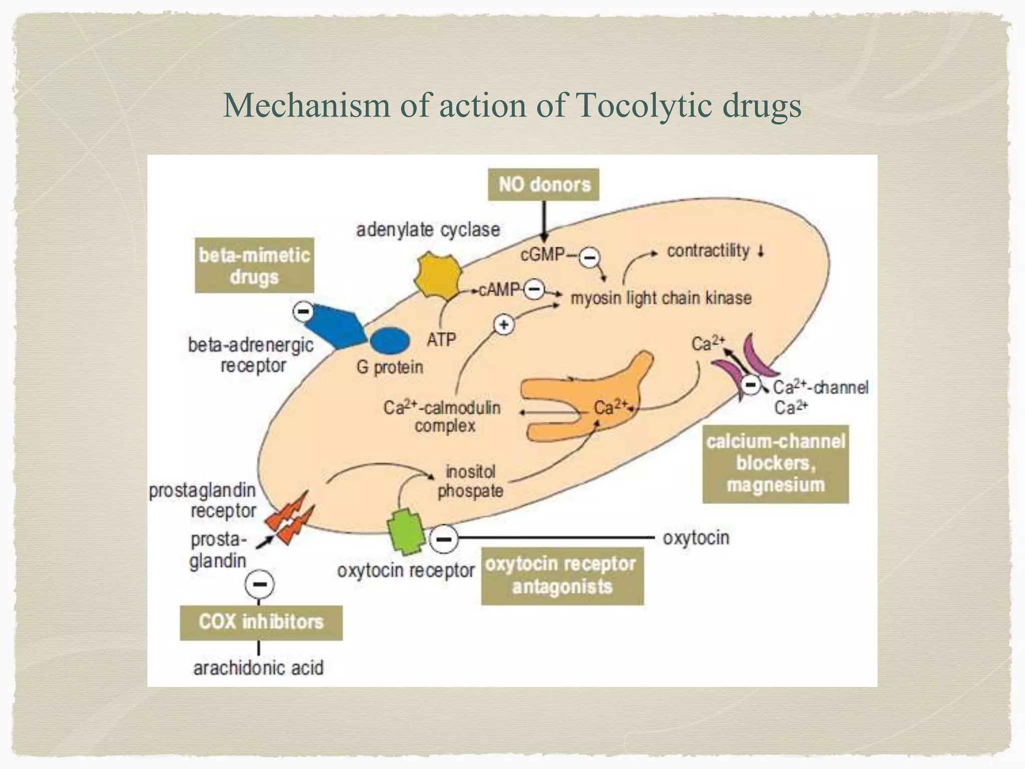 Oxytocics & Tocolytics | PPTX