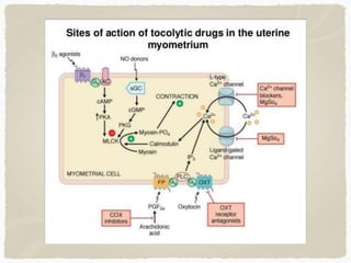 Oxytocics & Tocolytics | PPTX