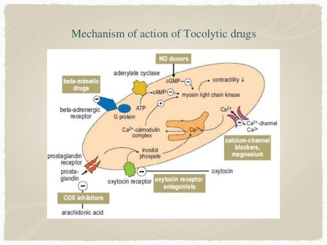 Oxytocics & Tocolytics