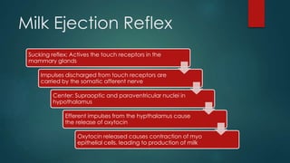 Oxytocin | PPTX