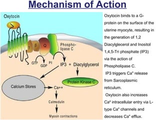 oxytocin methergin prostaglandin spinal anaesthesia.ppt
