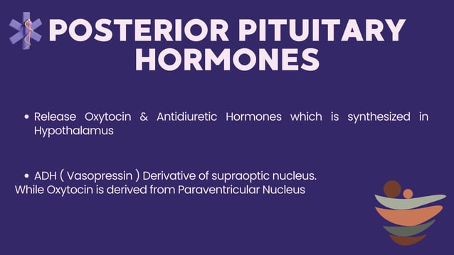 Oxytocin, Uterine Stimulant , Tocolytic drugs.pdf