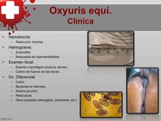 Huevo Oxyuris Equi