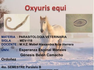Oxyuris Equi