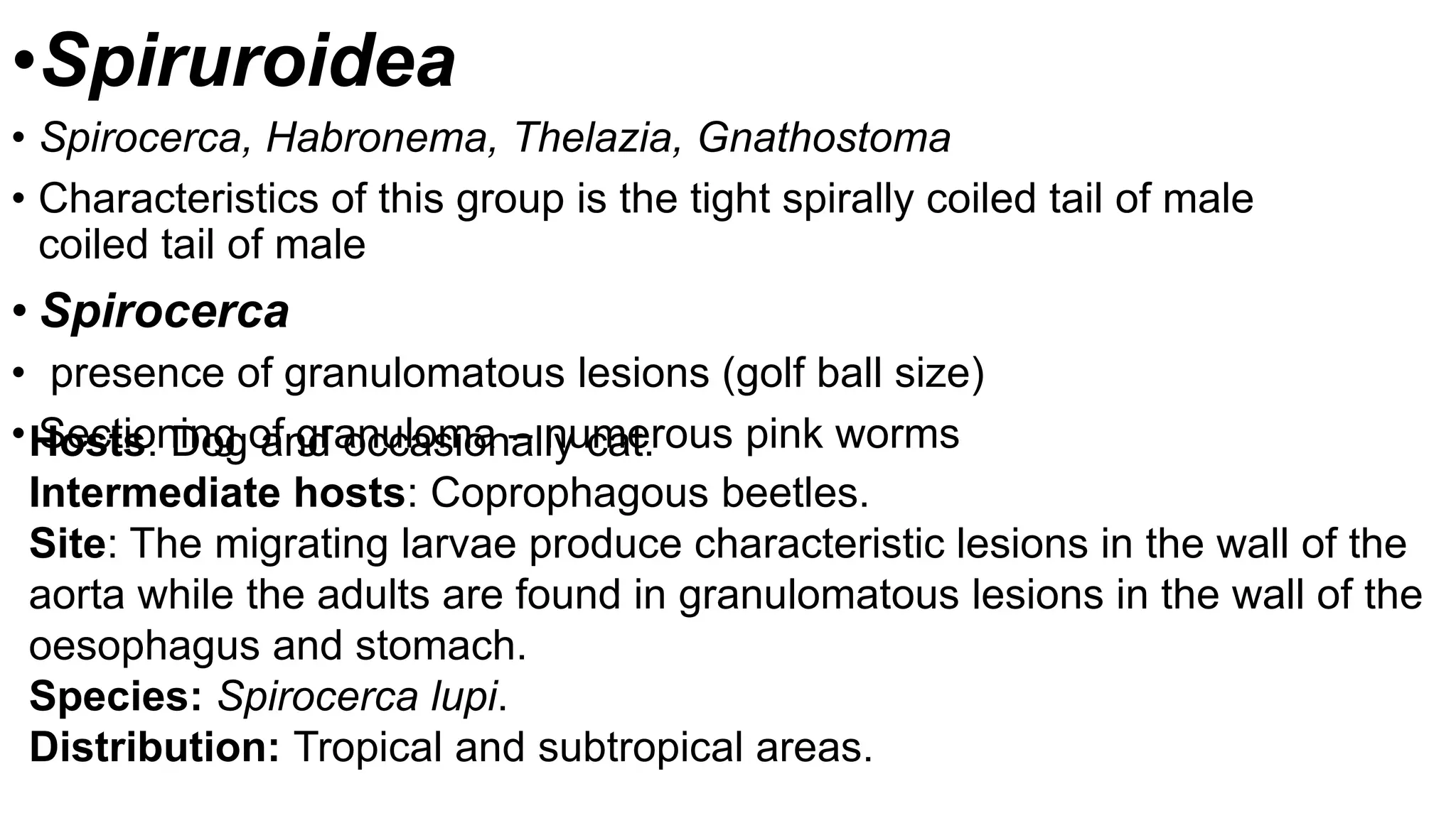 oxyuroidea & spirouroidea-1.pptx .Nematodal presentation 4th semester ...