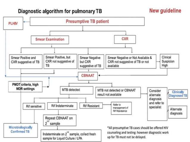 REVISED NATIONAL TUBERCULOSIS CONTROL PROGRAME DAILY REGIMEN | PDF ...