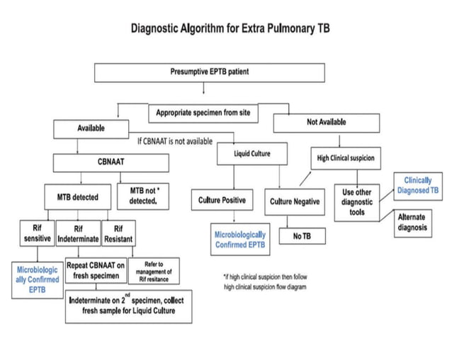 REVISED NATIONAL TUBERCULOSIS CONTROL PROGRAME DAILY REGIMEN | PDF ...