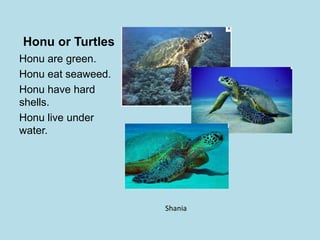 Oyama Animals of Hawaii ppt | PPTX