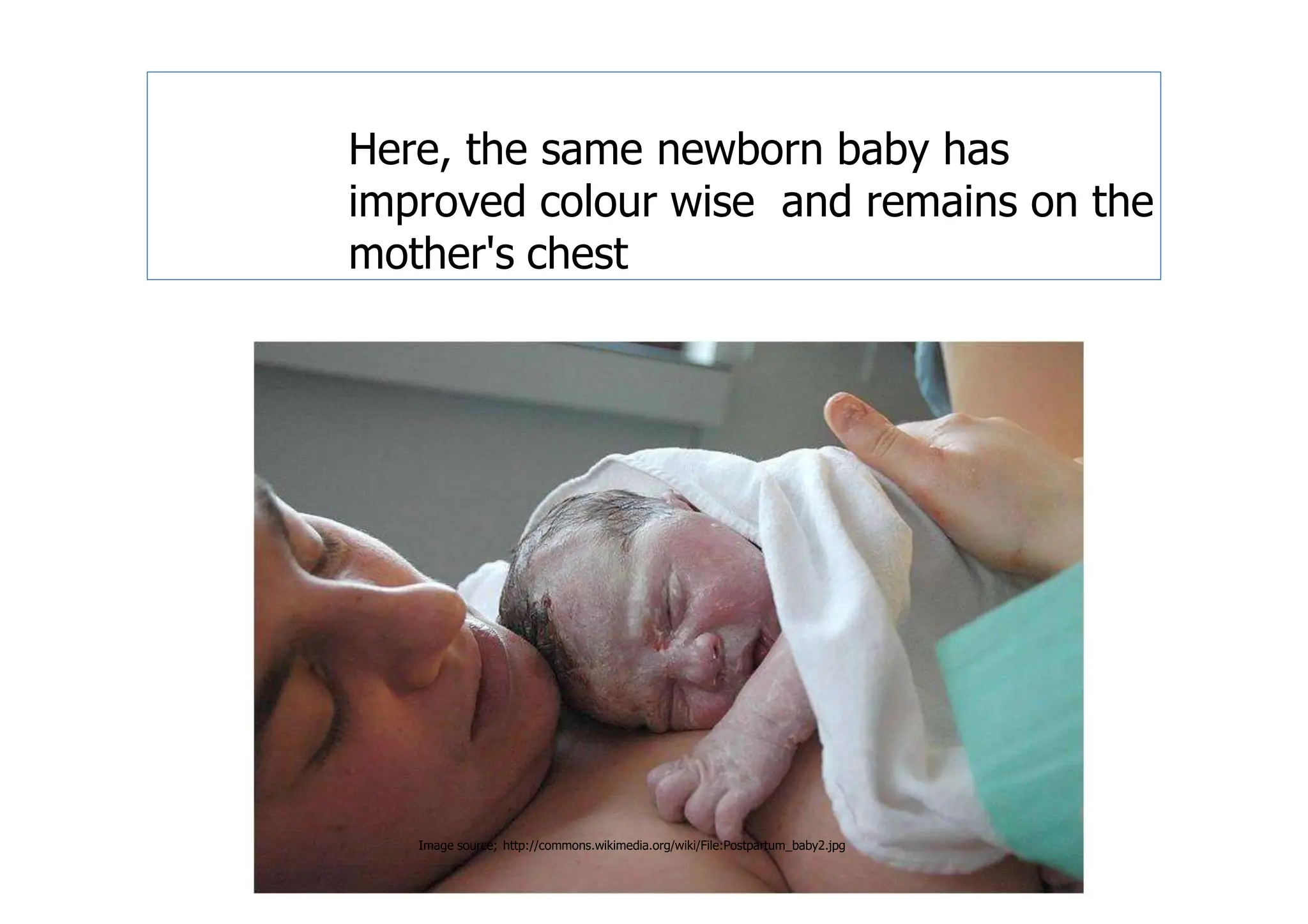 Fetal circulation and physiology bb.pptx