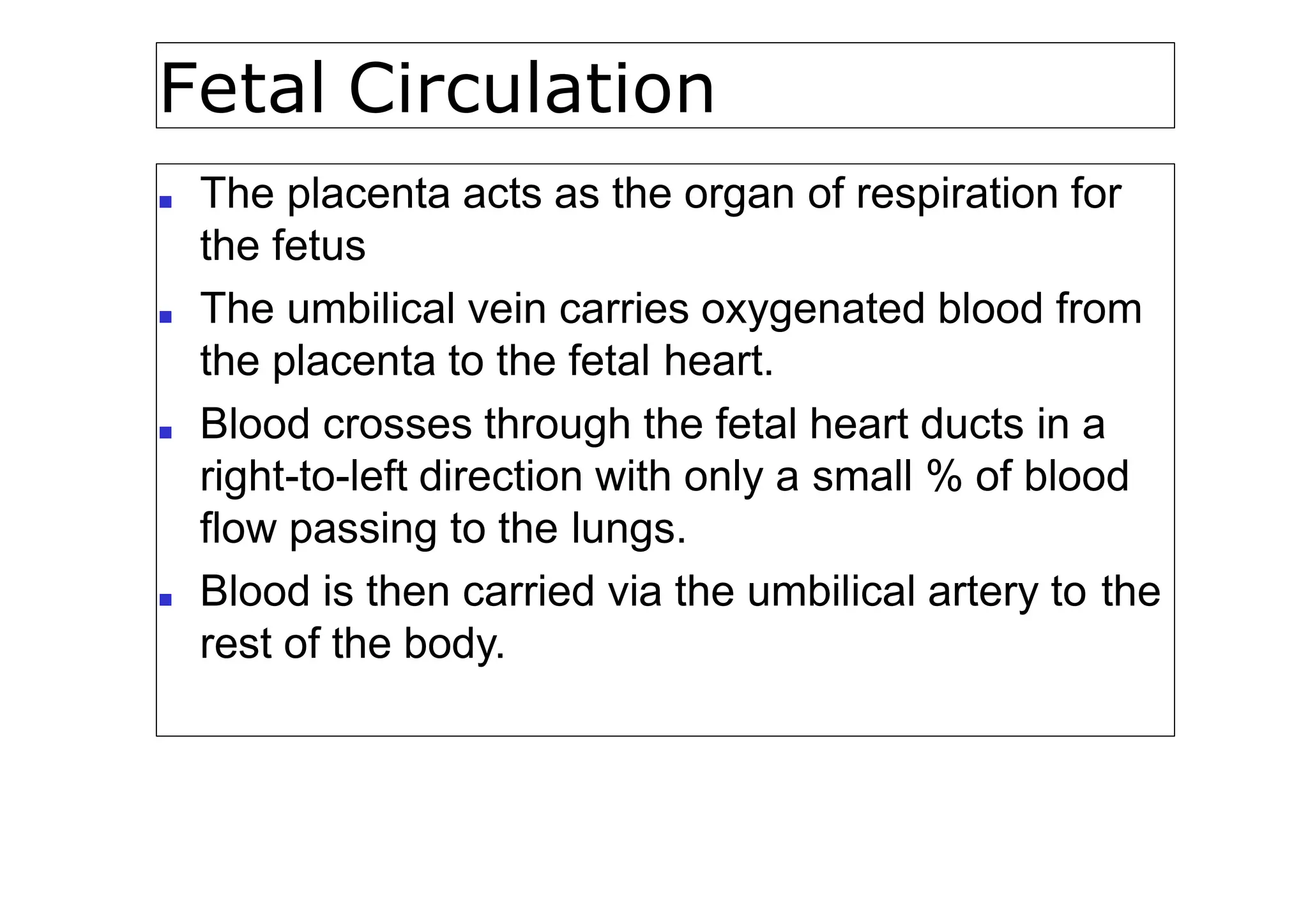 Fetal circulation and physiology bb.pptx