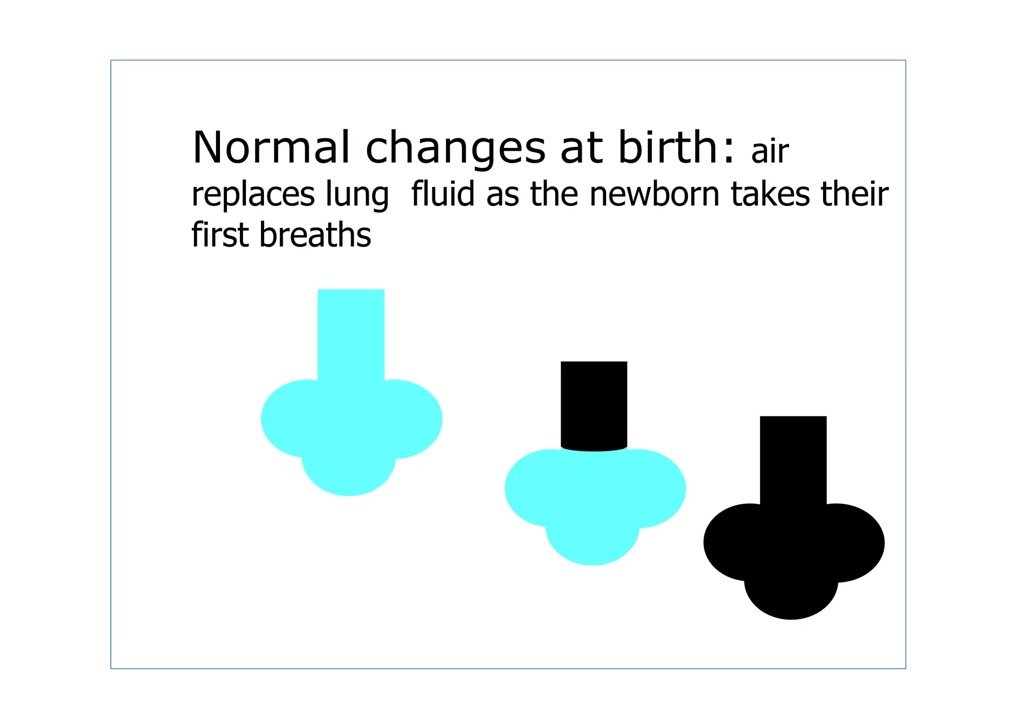 Fetal circulation and physiology bb.pptx