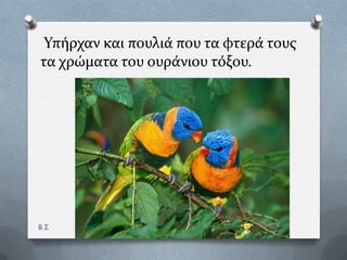 Ο σπουργίτης και το ουράνιο τόξο | PPT