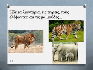 Ο σπουργίτης και το ουράνιο τόξο | PPT