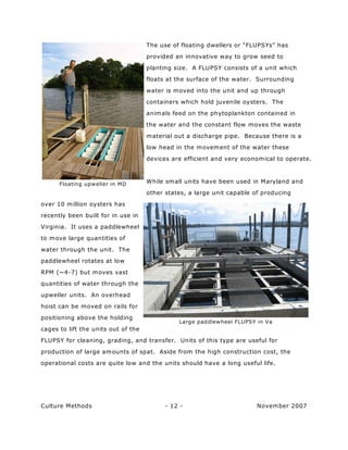 Oyster aquaculture production | PDF