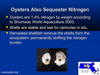 Exploration of the Cost-Effectiveness of Using Oysters for Nitrogen ...