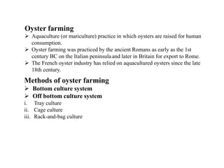 Oyster farming | PPTX