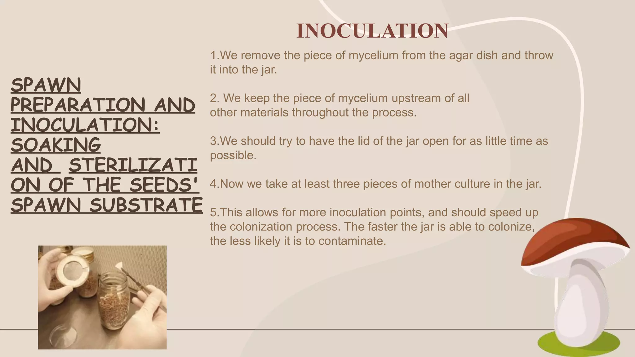 Oyster Mushroom Cultivation Pptx