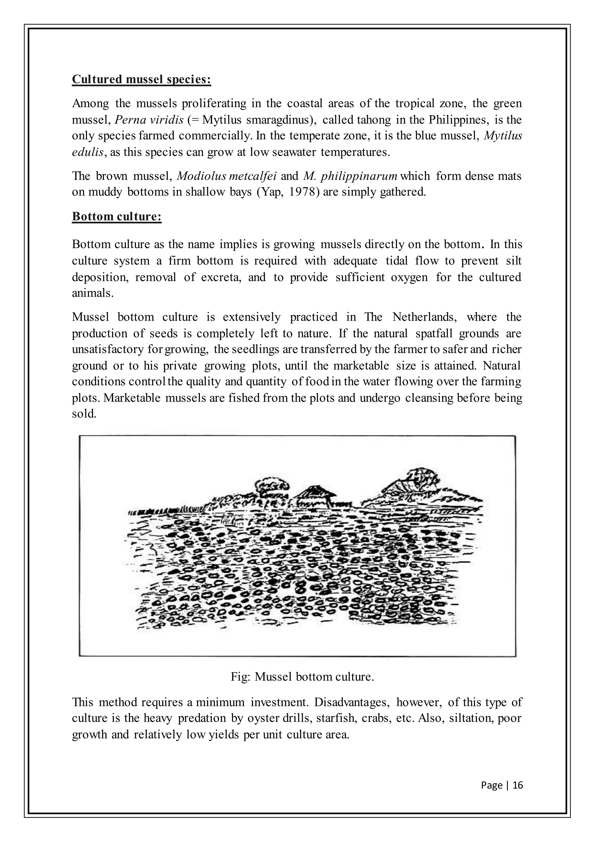 Oyster and mussel culture techniques | DOCX