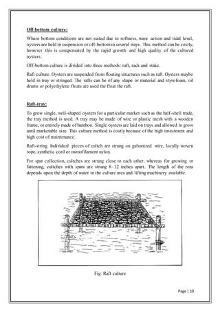 Oyster and mussel culture techniques | DOCX