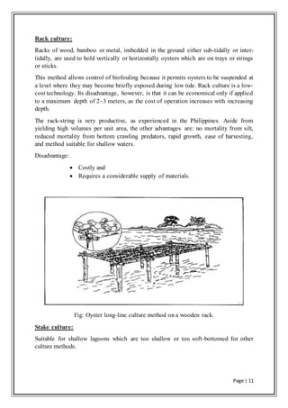 Oyster and mussel culture techniques | DOCX