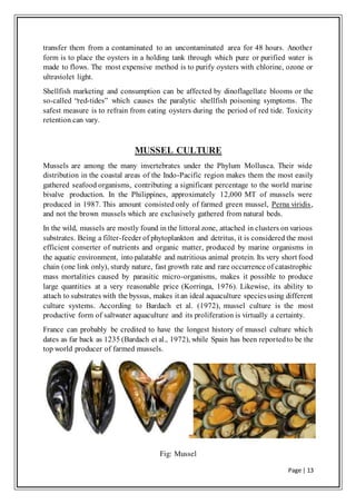 Oyster and mussel culture techniques | DOCX