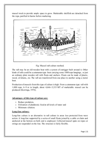 Oyster and mussel culture techniques | DOCX