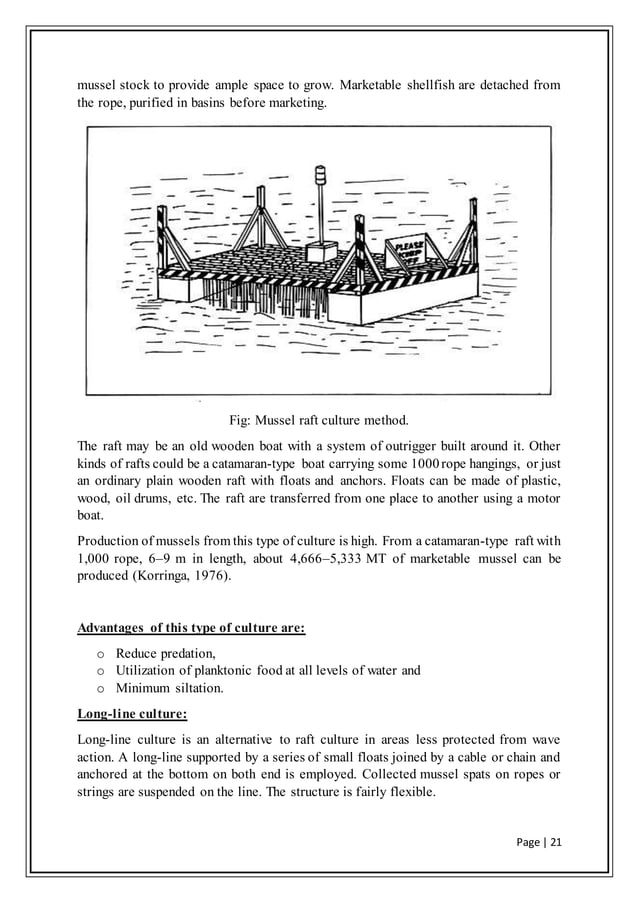 Oyster and mussel culture techniques | DOCX | Zoos & Aquariums ...