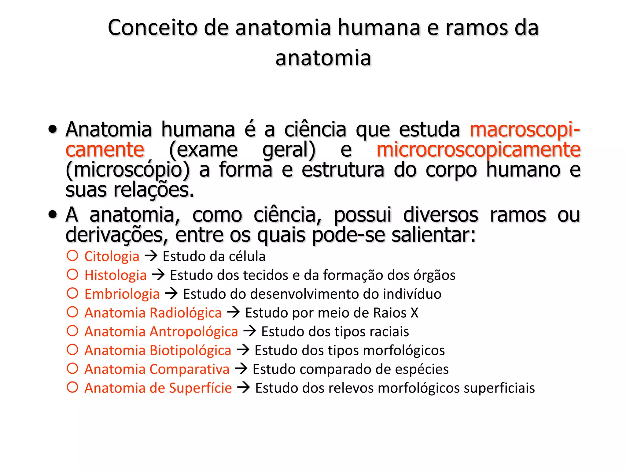 ANATOMIA-_Anatomia_Radiologica.pptx