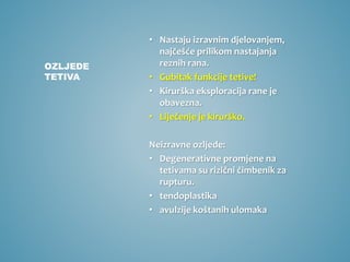 Ozljede mišića i tetiva | PPSX
