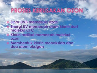 Ozon | PPT