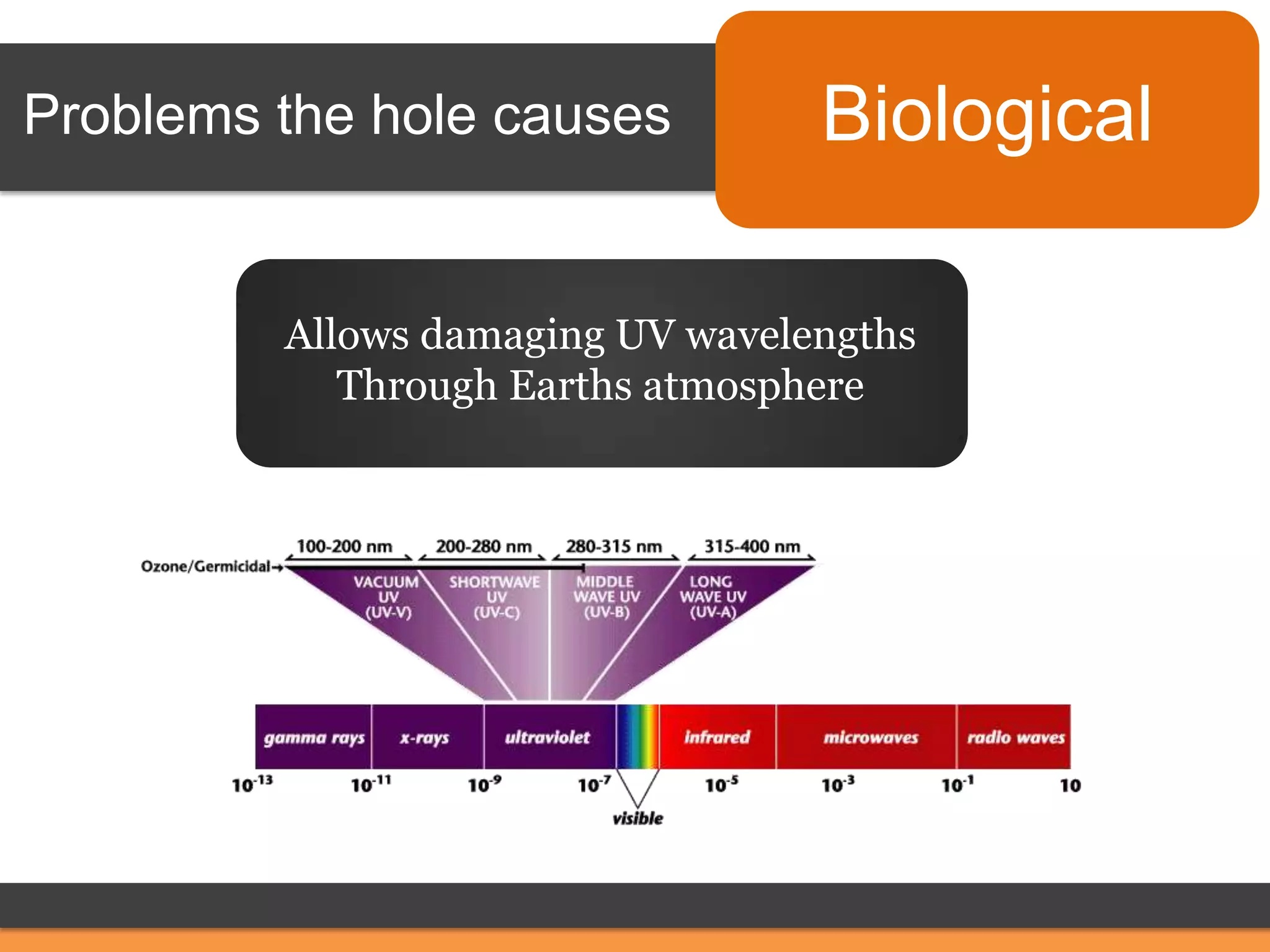 The Hole in the Ozone Layer | PPT