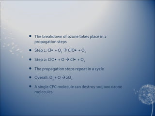 Ozone Depletion | PPT
