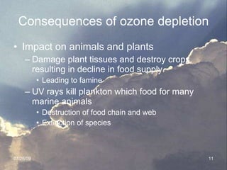 Sec 2 Ozone Depletion | PPT