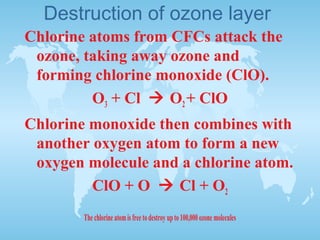 Ozone & Depletion | PPT
