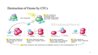 Ozone layer depletion | PPTX
