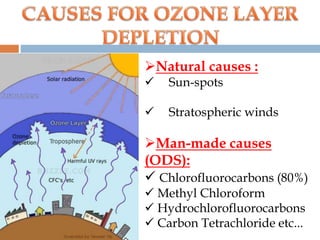 Ozone Layer Pollution Effect