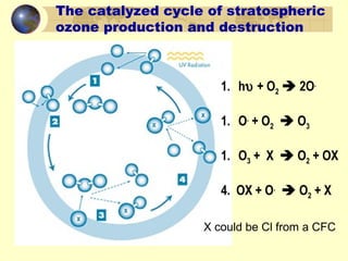 Ozone depletion | PPT